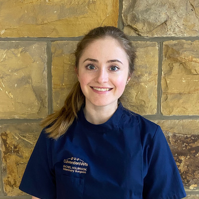 Meet Our Team - Culverden Vets